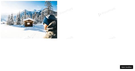 Watermark Image Reactjs Forked Codesandbox