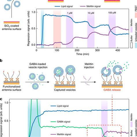 Hatice Altug Professor Associate Phd In Applied Physics École