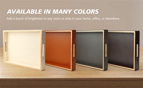 Sanzie Leather Tray Desktop Storage Organizer Premium