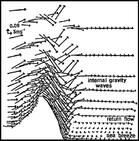 Surface wind vectors m s À at m height above sea level near Download Scientific Diagram