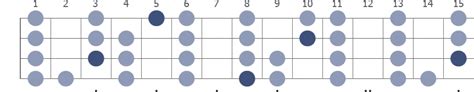 C Locrian Bass Guitar Scale