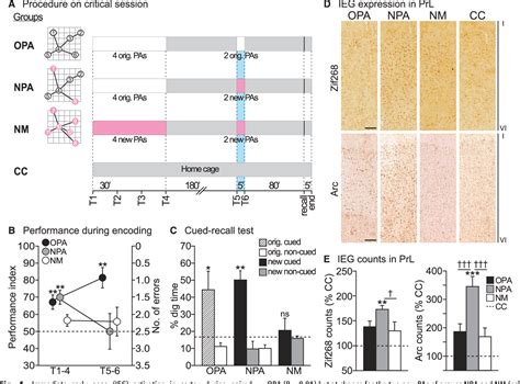 Figure 1 From Schema Dependent Gene Activation And Memory Encoding In Semantic Scholar