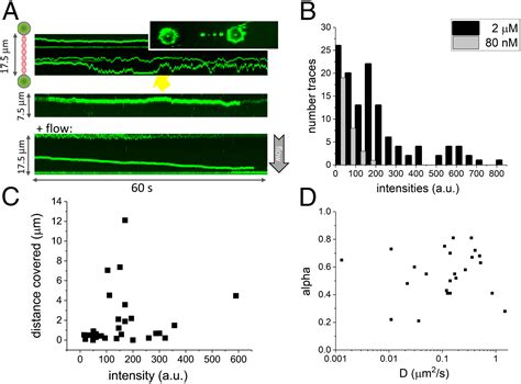 Correction For Rill Et Al Alkyltransferase Like Protein Clusters Scan