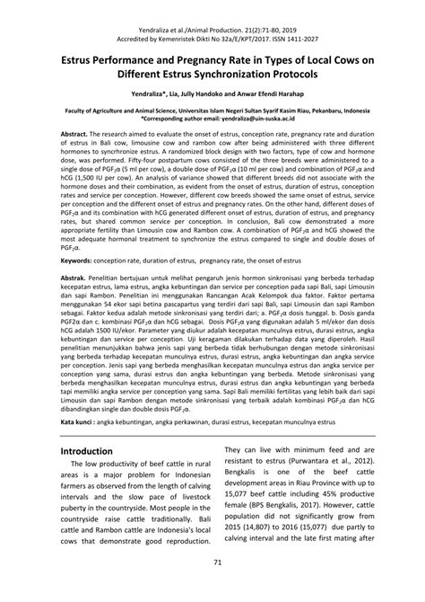 Pdf Estrus Performance And Pregnancy Rate In Types Of Local Cows On Different Estrus