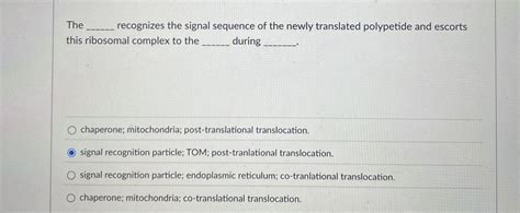 Solved The Q ﻿recognizes The Signal Sequence Of The Newly