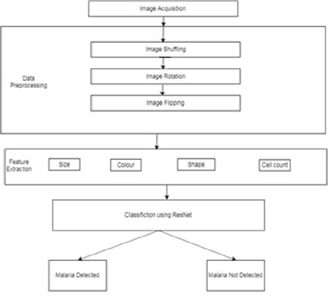 Figure 6 From Malaria Cell Image Classification Using Deep Learning Semantic Scholar