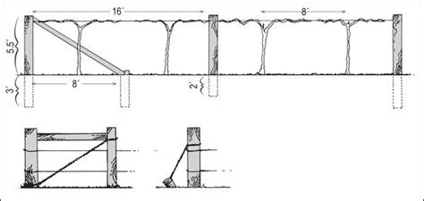 Vsp Trellis Construction