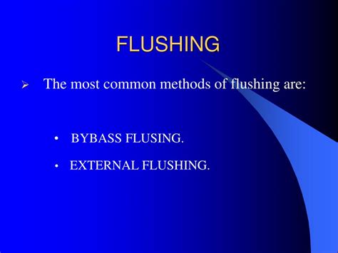 Ppt Seal Flushing Powerpoint Presentation Free Download Id756612