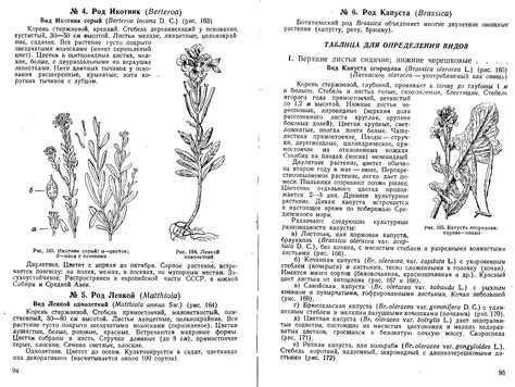 Иллюстрированный школьный определитель растений - Круберг Ю.К., Быстров ...