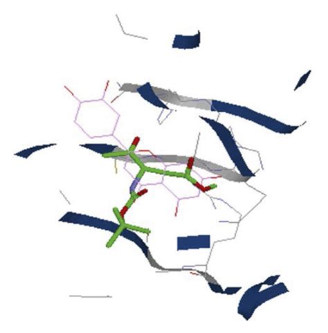 Molecular Docking Models Of The Key Target Proteins With The Key