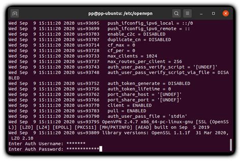 Cascading Your VPN Multi Hop With Linux Perfect Privacy