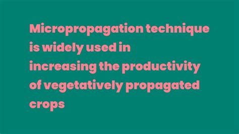 Micropropagation Technique Is Widely Used In Increasing The Productivity Of Vegetatively