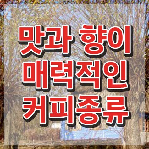 바리스타 2급 1급 바리스타 자격증 한달 만에 취득한 노하우 구직정보 네이버 블로그 바리스타 2급 1급 바리스타 자격증 한달 만에 취득한 노하우 구직정보 네이버 블로그