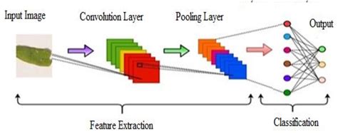 Figure From Early Blight And Late Blight Disease Detection In Potato Using Efficientnetb