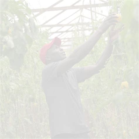 Pamela Oconnell On Linkedin Please Share Across Your Networks