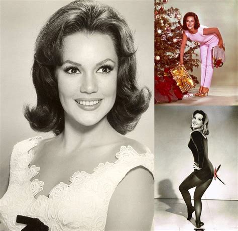 Mary Ann Mobley From Miss America To Hollywood Star