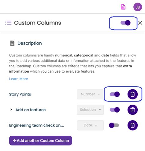 How To Use Custom Columns Chisel Help
