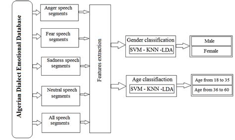 Scheme Of Gender And Age Classification Under Different Emotions Download Scientific Diagram