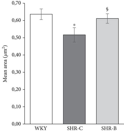 Heart Failure Induced Fragmentation Of Interfibrillar Mitochondria In