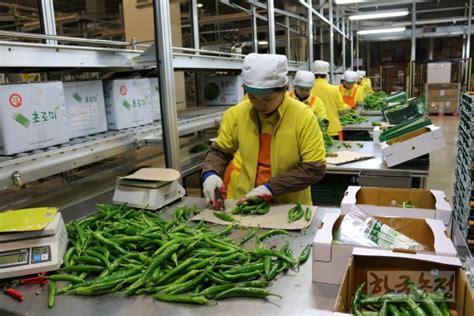 농협 물류센터 통한 유통단계 감축 기대