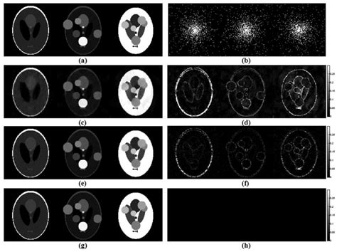 Multi Contrast Reconstruction With Bayesian Compressed Sensing Abstract Europe Pmc
