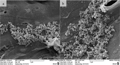 Sem Micrographs Of Impact Fracture Surface Of Thermoplastic