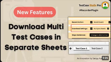 How Can I Download Test Cases In Separate Sheets Of One Excel File