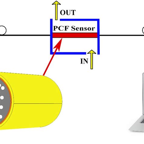 experimental setup for practical sensing with sensing response curve
