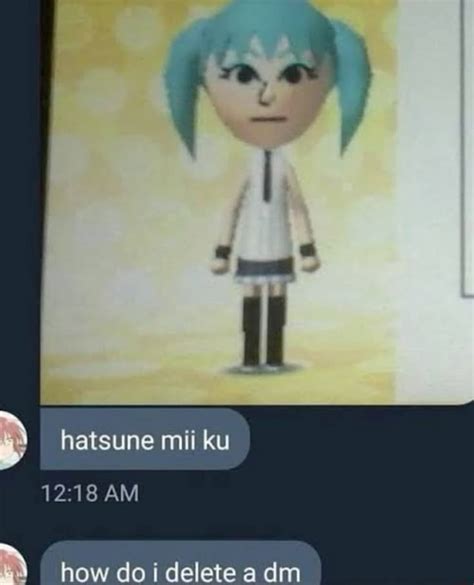 Pin By Lols On Pins By You In Vocaloid Funny Hatsune Funny Memes