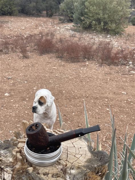 Although I Have No Issue Enjoying A Pipe In The Backyard Or Garage It Just Hits Different Out