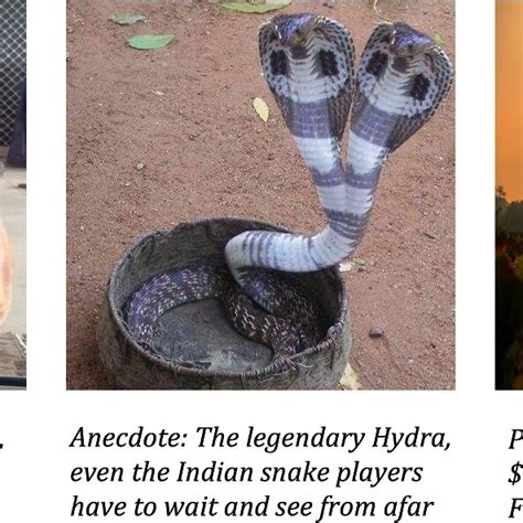 The Example Network Structure Of Using Multimodal Dual Emotion For