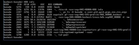 Sap Hana Express Edition Ova Installed Test Xs Sap Community