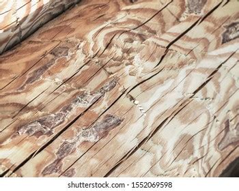 Defect Logging Images Stock Photos Vectors Shutterstock