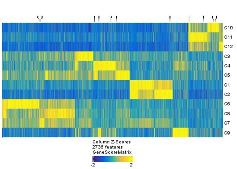 Identifying Marker Genes ArchR Robust And Scaleable Analysis Of Single Cell Chromatin