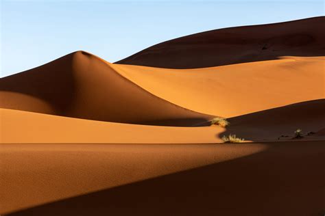 Sahara Sands Alpine Light