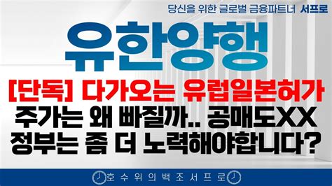 단독영상 유한양행 주가전망 주가는 왜 빠질까 금투세폐지 확정 엄민용 바이오 조정 유한화학 폐암학회 비만치료제 Feat