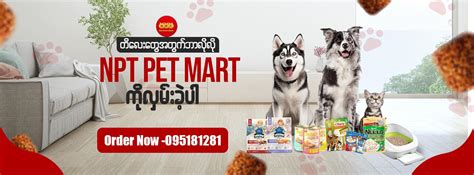 Code 10 Myanmar Code 10 Myanmar Added A New Photo