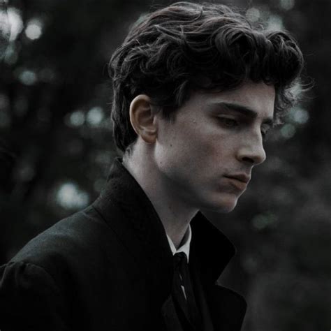 Timothee Chalamet Кинозвезды Портрет Фотографии профиля