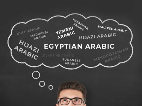 learn arabic which arabic dialect should i learn kaleela app