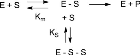 Equation For Non Linear Curve Fitting Of Enzyme Kinetics That Is