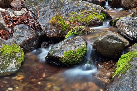 계곡 청계산 맑은숲공원 숲 자연 사진이미지일러스트캘리그라피 Deep Blue작가
