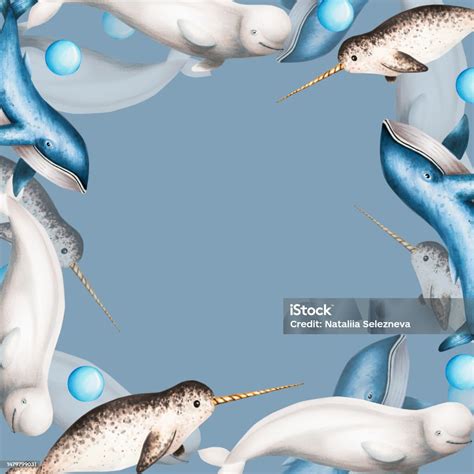 벨루가 푸른 고래 일각고래가 흰색 배경에 격리된 수채화 프레임 손으로 그림 현실적인 북극과 남극 해양 포유류 디자이너 장식 엽서