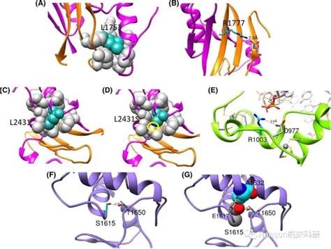 【模板】简单的基因型和表型研究，竟发在8 6分杂志。这个研究思路简单易行，一定要学会 知乎