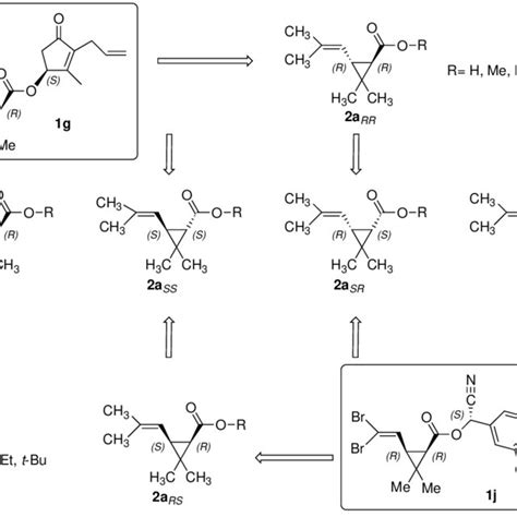 Pdf Pyrethroid Insecticides Chapter I Synthesis Structure