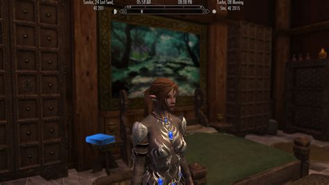 Hdt Tbbp Bbp Armor Bug With Two Sets Of Boobs Skyrim Technical Support Loverslab