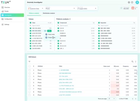 4 Steps Of The Data Profiling Process Telmai