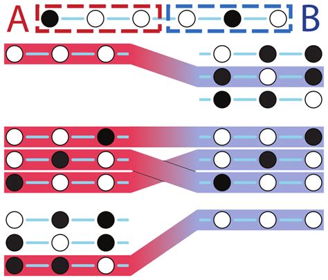 A Maximally Entangled State Is Such That One Has The Maximal