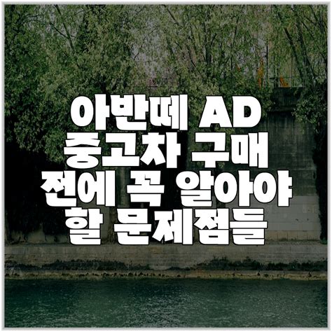 아반떼 Ad 중고차 구매 전에 꼭 알아야 할 문제점들