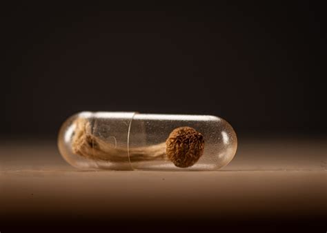 Psilocybin As A Mental Health Treatment