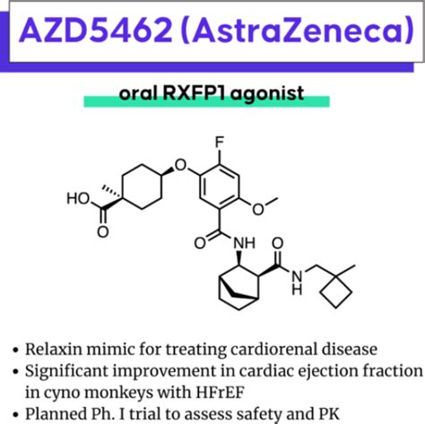 Astrazeneca Leads The Development Of Small Molecule Rxfp1 Agonists